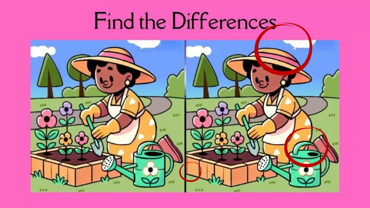 Spot the Difference Challenge: Find 3 Differences in the Flower Shop ...